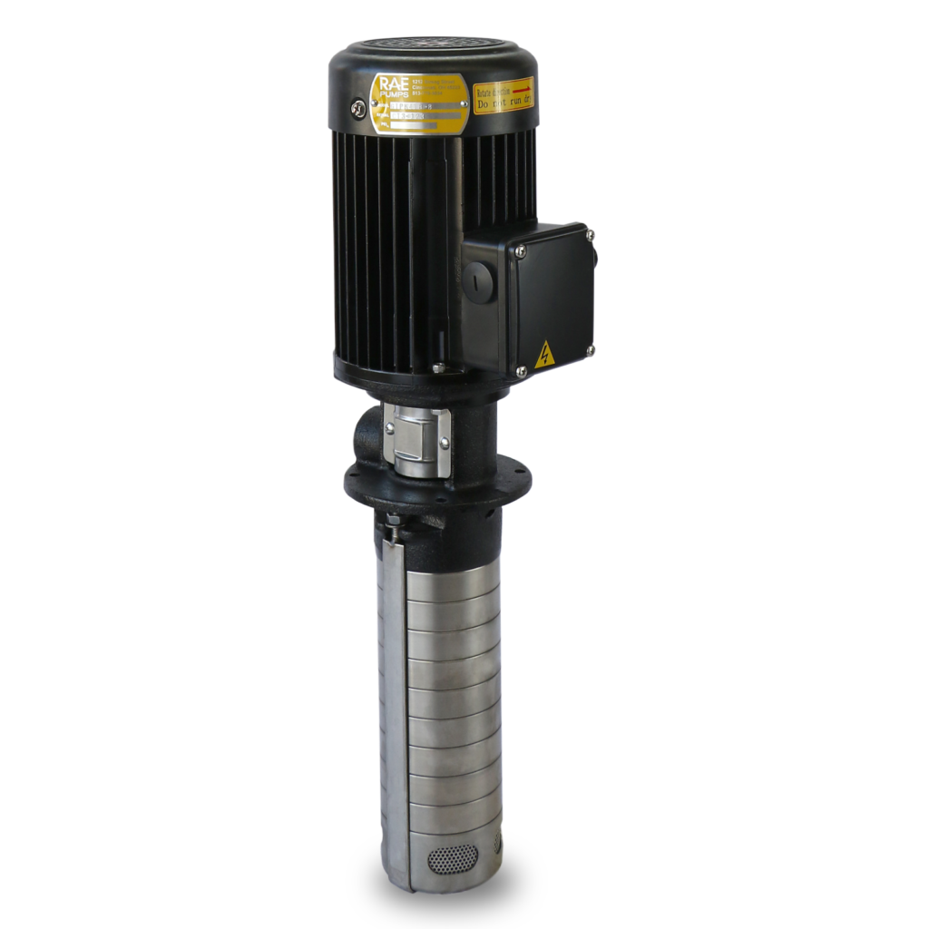 GTPK 4T Vertical Multisgate Immersion Pump - RAE Pumps