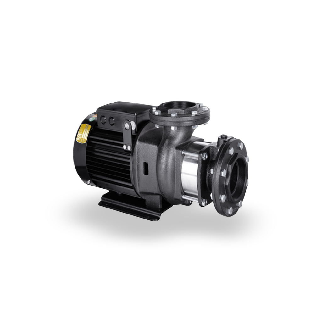 Horizontal Multistage External Mount Pumps - RAE Pumps