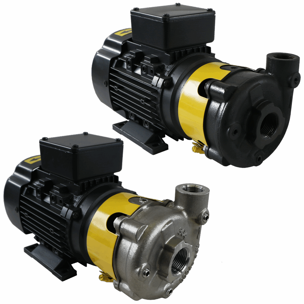 CFH-A34 Coupling-Free Horizontal Pump – RAE Pumps