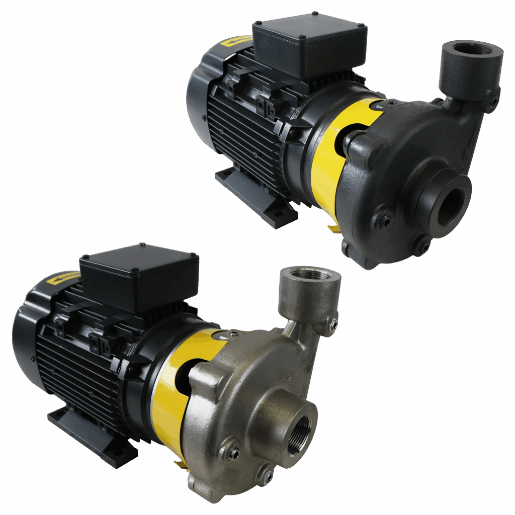 CFH-C56 Coupling-Free Horizontal Pump – RAE Pumps