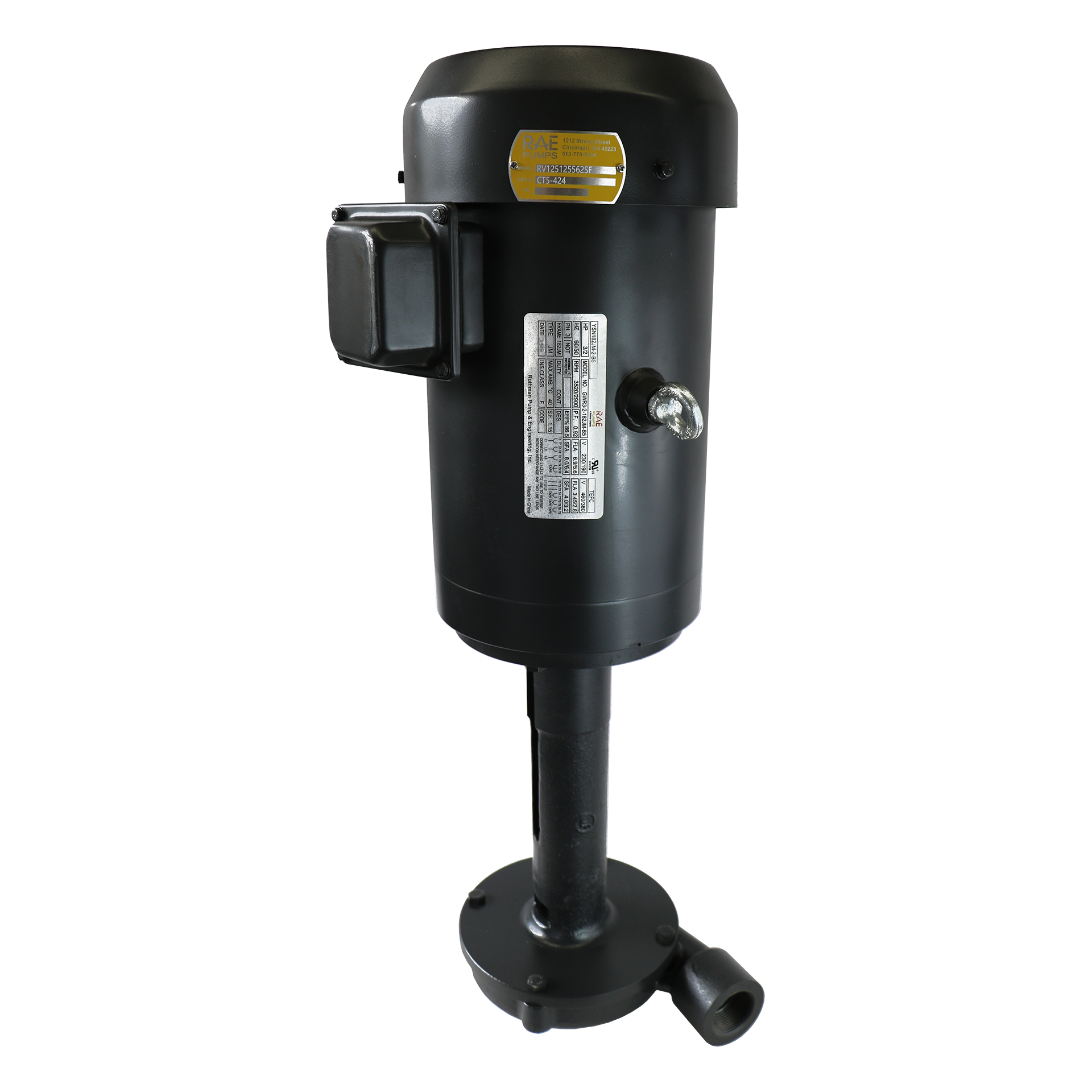 CFV-C56 Vertical Immersion Pump – RAE Pumps