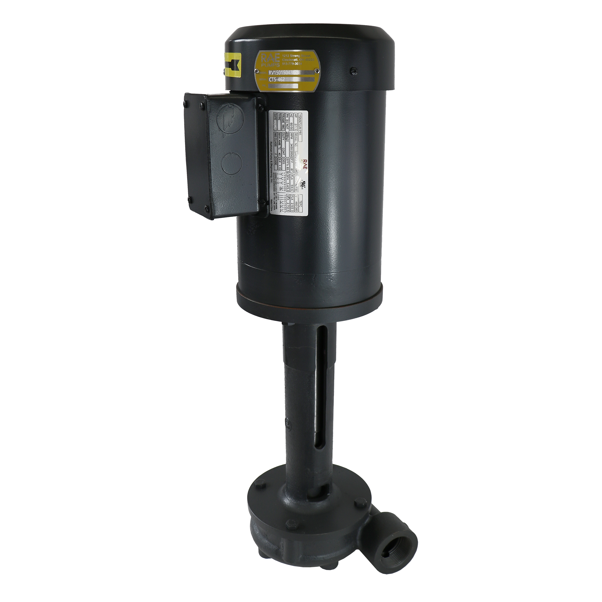 CFV-D43 Vertical Immersion Pump – RAE Pumps